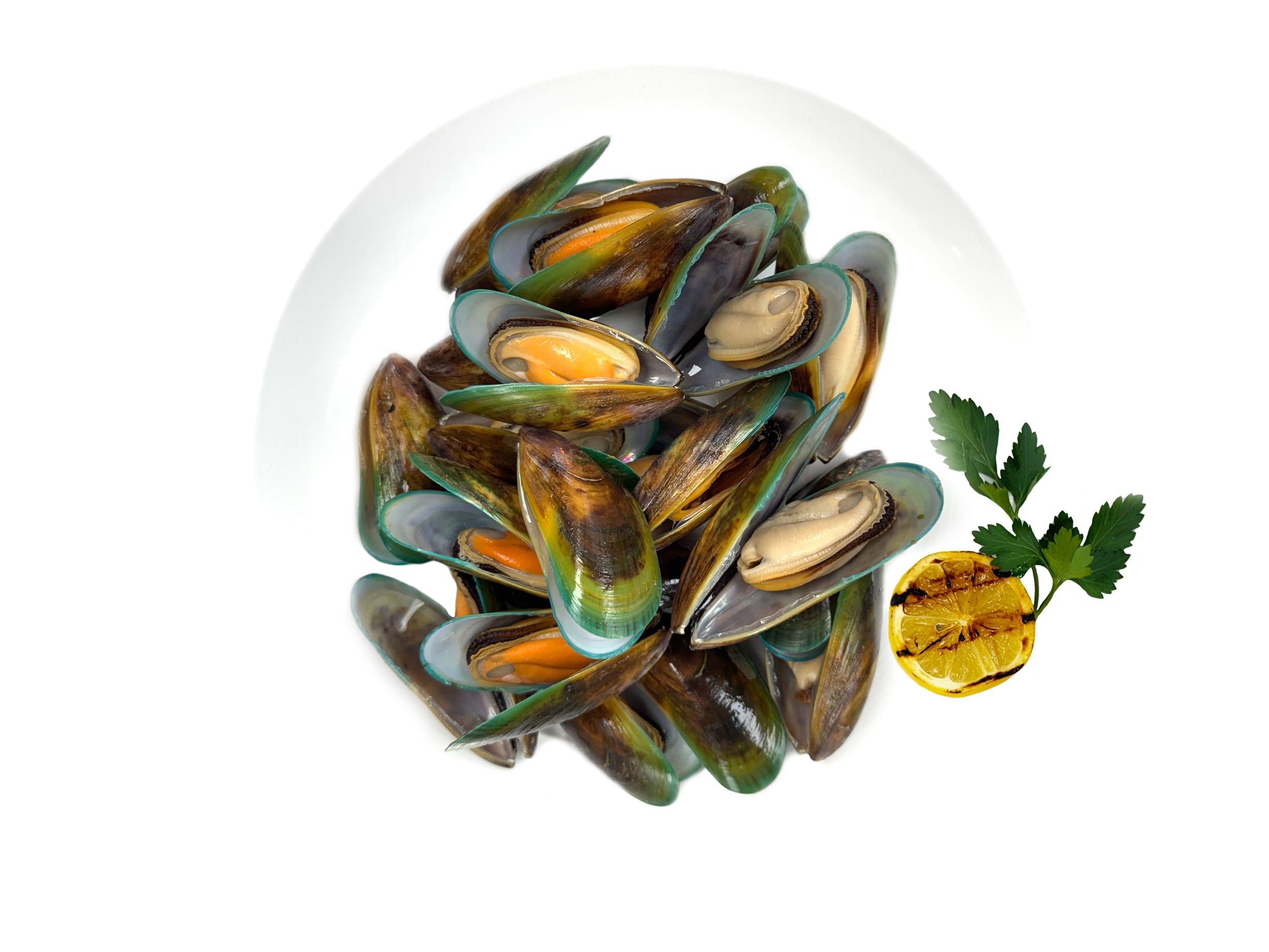 TURNER New Zealand | 100% Grass-Fed Halal Beef & Lamb, Wild Seafood